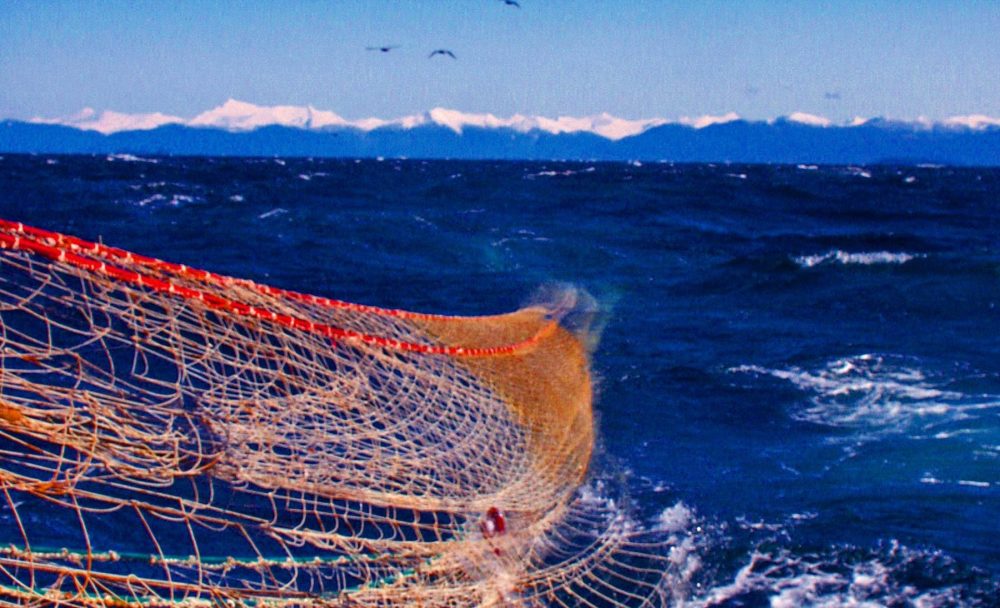 The Supreme Court Trawl Bycatch Decision — Maritime Injury Law Blog ...