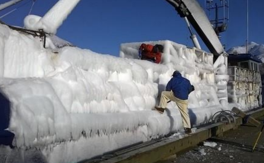 Safety Rules Still Lax After F/V Scandies Rose and F/V Destination ...