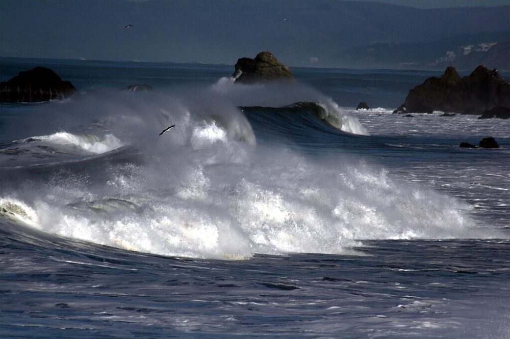 Tragedy at Sea: Surviving Two Weeks Adrift After Fishing Vessel Sinks ...